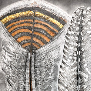 Introduction To Drawing Explorations - Class Detail - Sawtooth School ...