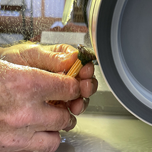 Lapidary Stone Cutting Polishing Cabochons - Class Detail - Sawtooth ...