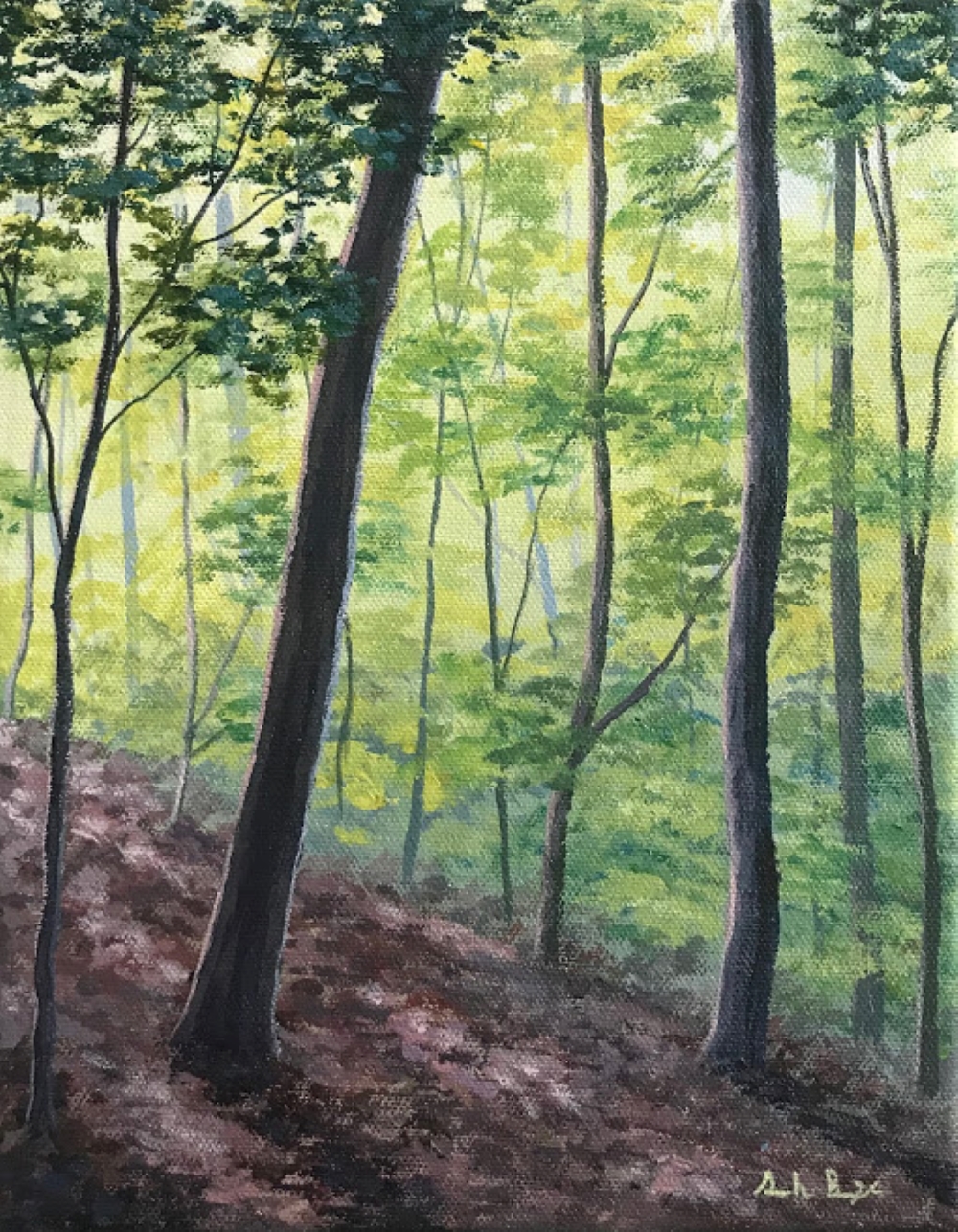 Painting Landscapes With Acrylic Ages 9 16 - Class Detail - Sawtooth ...