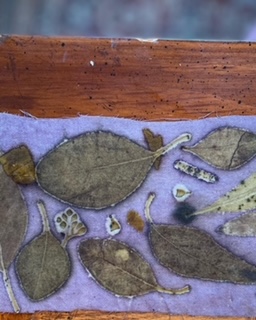 Eco Printing Color Carrier With Silk Scarf - Class Detail - Sawtooth ...